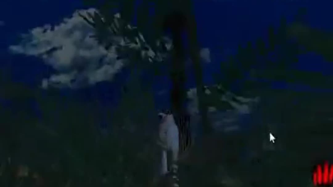 【无敌小游戏】4399-3D模拟动物人生