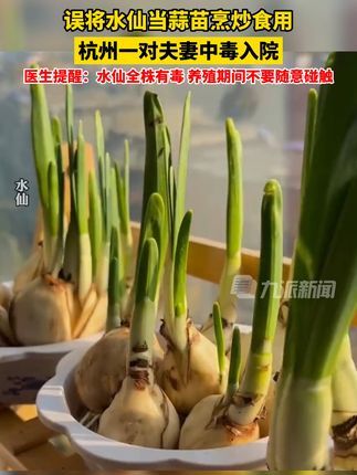 2月18日(发布时间),浙江杭州,#夫妻俩误将水仙当蒜苗食用后中毒入院 ,...