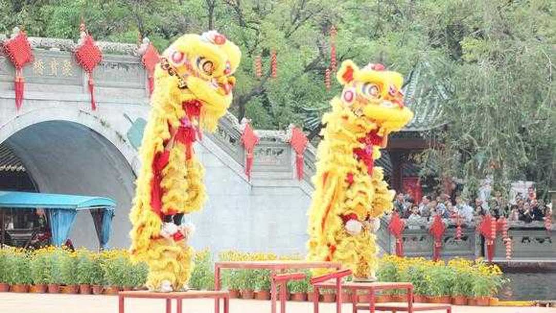 不愧为华人醒狮界的狮王之王，将狮子的威猛刚劲，表现的栩栩如生