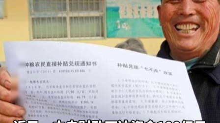 中央财政下达资金100亿,向实际种粮农民发放一次性补贴!