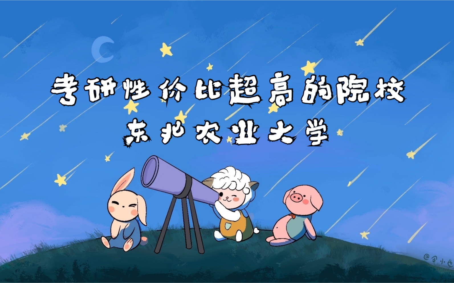 考研性价比超高的211院校,东北农业大学,来了解一下啊?