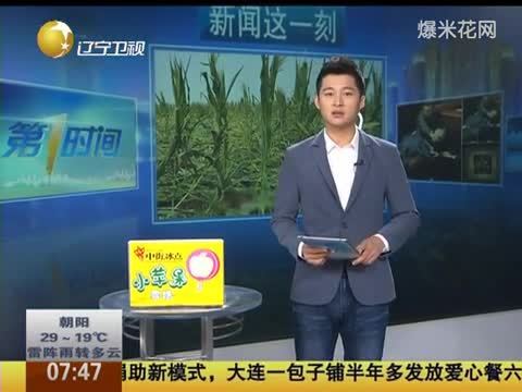 白沙水库现大量死鱼 政府发动为渔民卖鱼