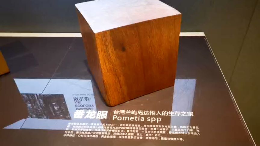 南京老陈地板保养翻新实木地板常用树种介绍2021-15