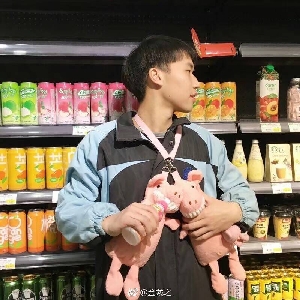 悍匪村村长 