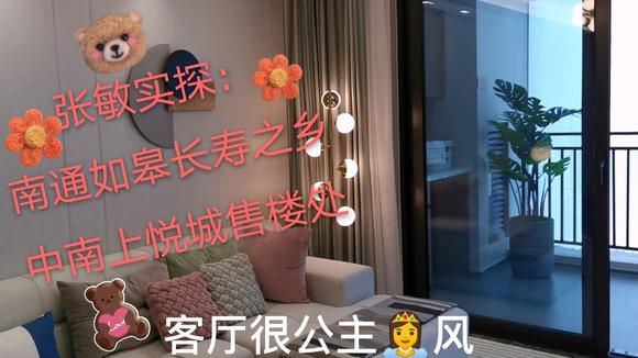 实探:南通如皋长寿之乡,水绘园旁中南上悦城115平米3室两厅两卫