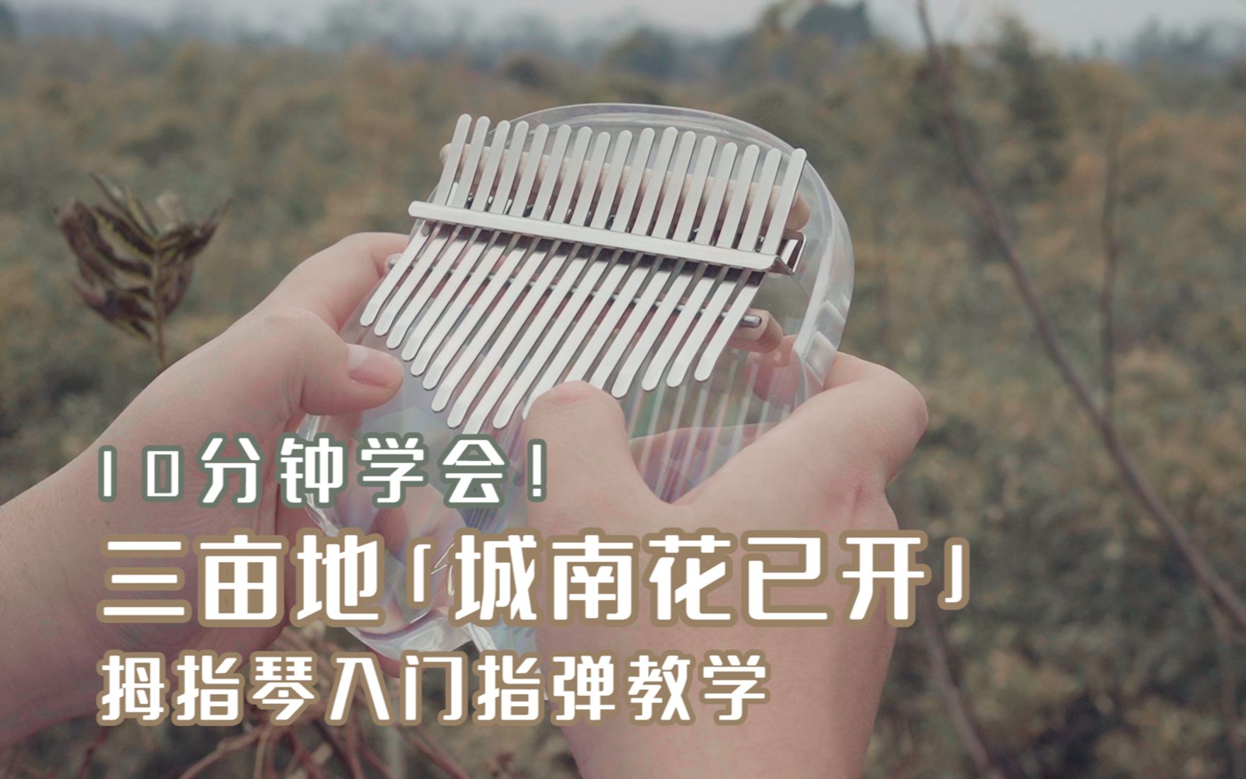 【拇指琴教学】超简单!三亩地的《城南花已开》卡林巴教学~(新手向)