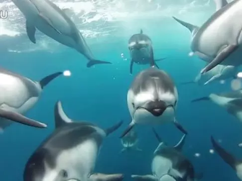gopro3 视频宣传片