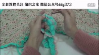 双色花样编织针法大全-教程06-棒针编织经典花样500例