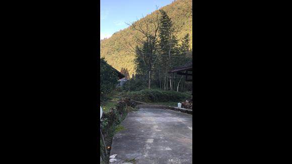 很喜欢自己的家乡,湖南张家界