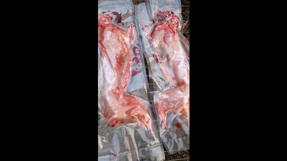新鲜兔肉,真空包装,冷冻一天一夜,路远加冰袋,专用泡沫保温箱