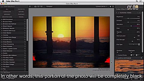 Google Nik滤镜基础应用教程 07 使用放大镜和直方图