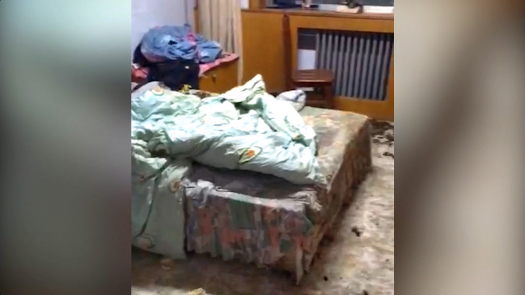 租客租房半年后“失联”!房间内留下满屋狗屎和垃圾,臭气熏天