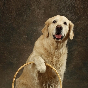 我爱学习学习爱我ing 