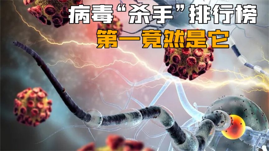病毒排行榜,你知道几个?