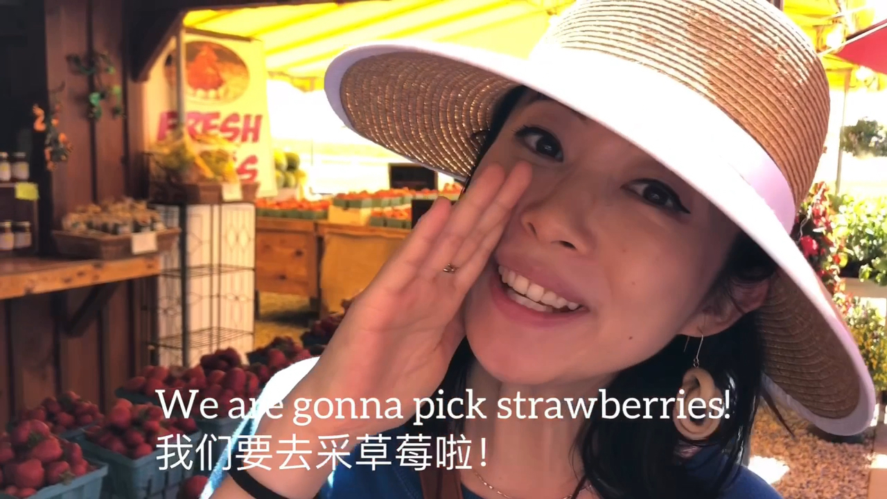 英语blog:纽约长岛采草莓