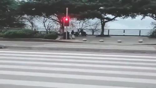 这个设计不错,行人可以主动控制红绿灯了