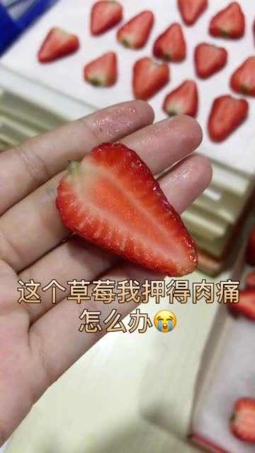 现在的草莓真的是太贵了