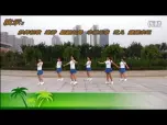 广场舞小苹果广场舞蹈视频大全