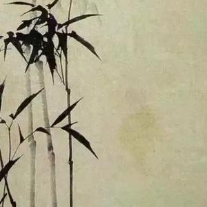 泾渭陋夫 