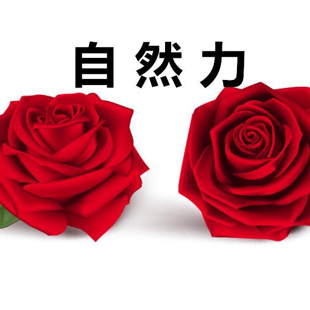 自然力鲜花纯露 