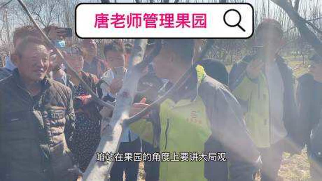 唐老师数据化管理果园