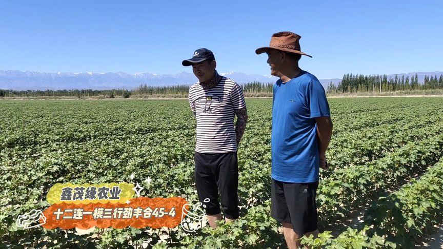 偶然出行,偶遇江南!一起观摩新种植模式,服务田间地头!