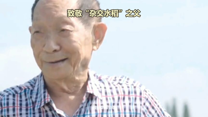了解下什么是杂交水稻,致敬袁老!