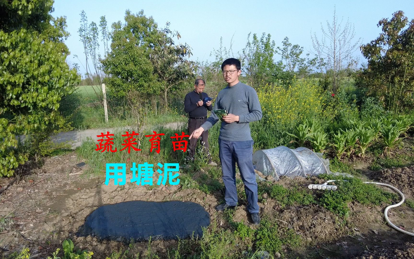 全程记录2023年,我家菜园,从播种育苗到收获的整个种植过程