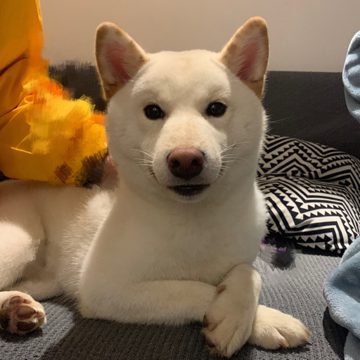 你的陈比方本方 