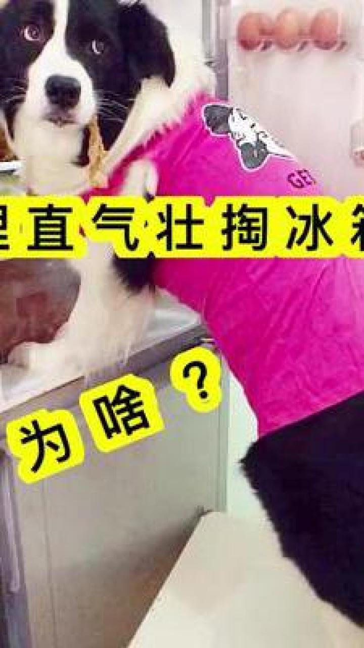 冰箱的说明书里确实没写原因呀……只有夜里才需要呢