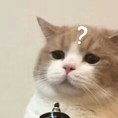打球吗网友 
