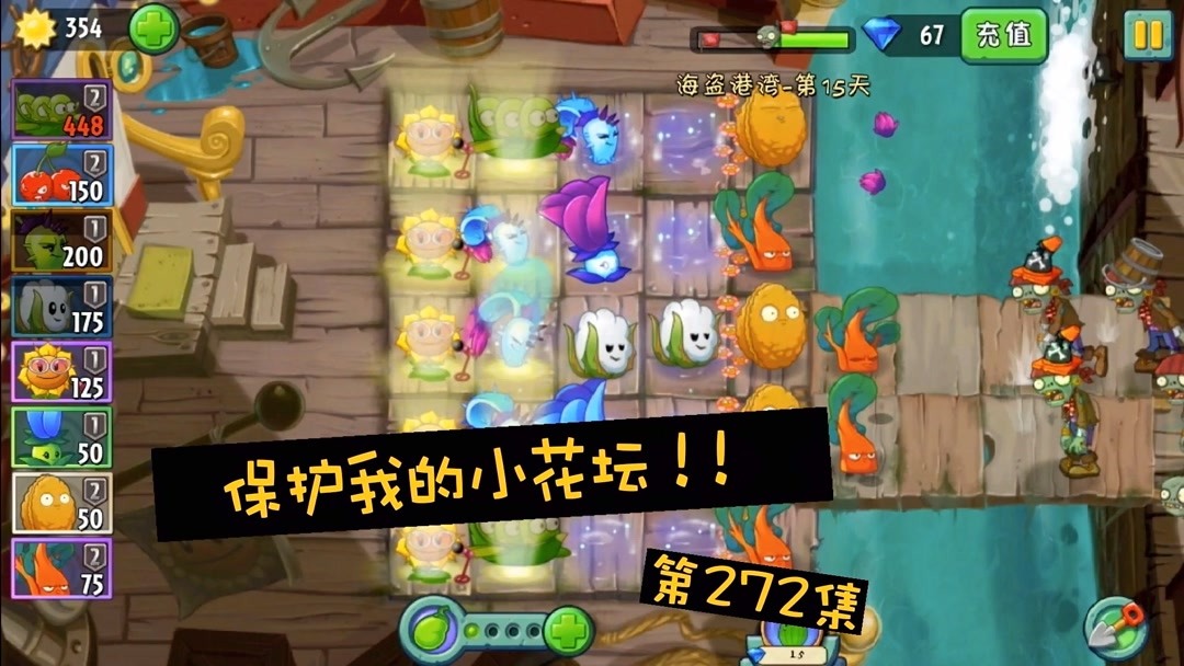 植物大战僵尸2海盗港湾:困难模式甜菜护卫保护我的小发发