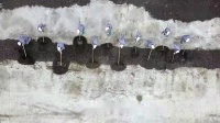 芡实浸泡时间越长营养价值越高,肇实淀粉含量高被称为水中人参
