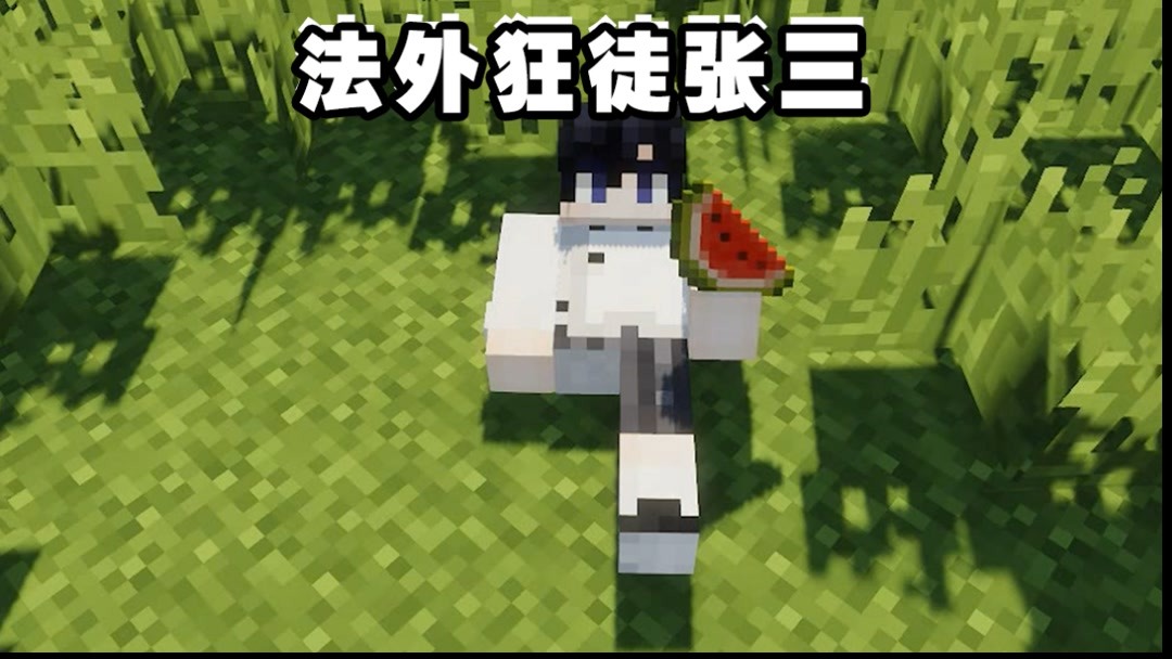 我的世界:张三偷瓜,腿被打断,唯一手段