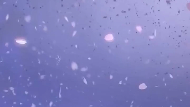 程序员小姐姐一段代码 教你如何优雅地撩妹