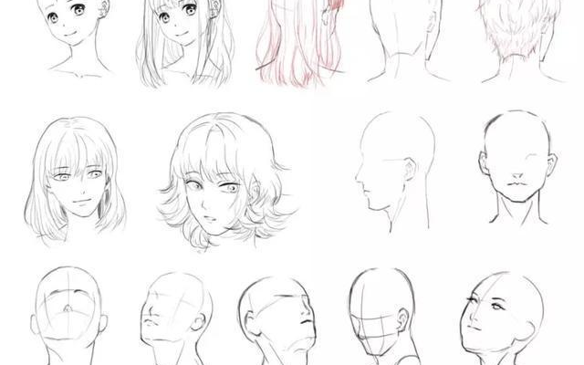 【漫画基础】“脸长在头部、头部有皮、皮上有头发”。妈妈我要学画...