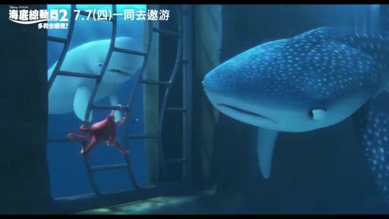 《海底总动员2:多莉去哪儿》精彩片段_孤独的旅程篇。