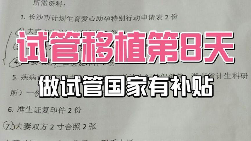 试管移植第8天,做试管国家有补贴,视频附详细申请流程