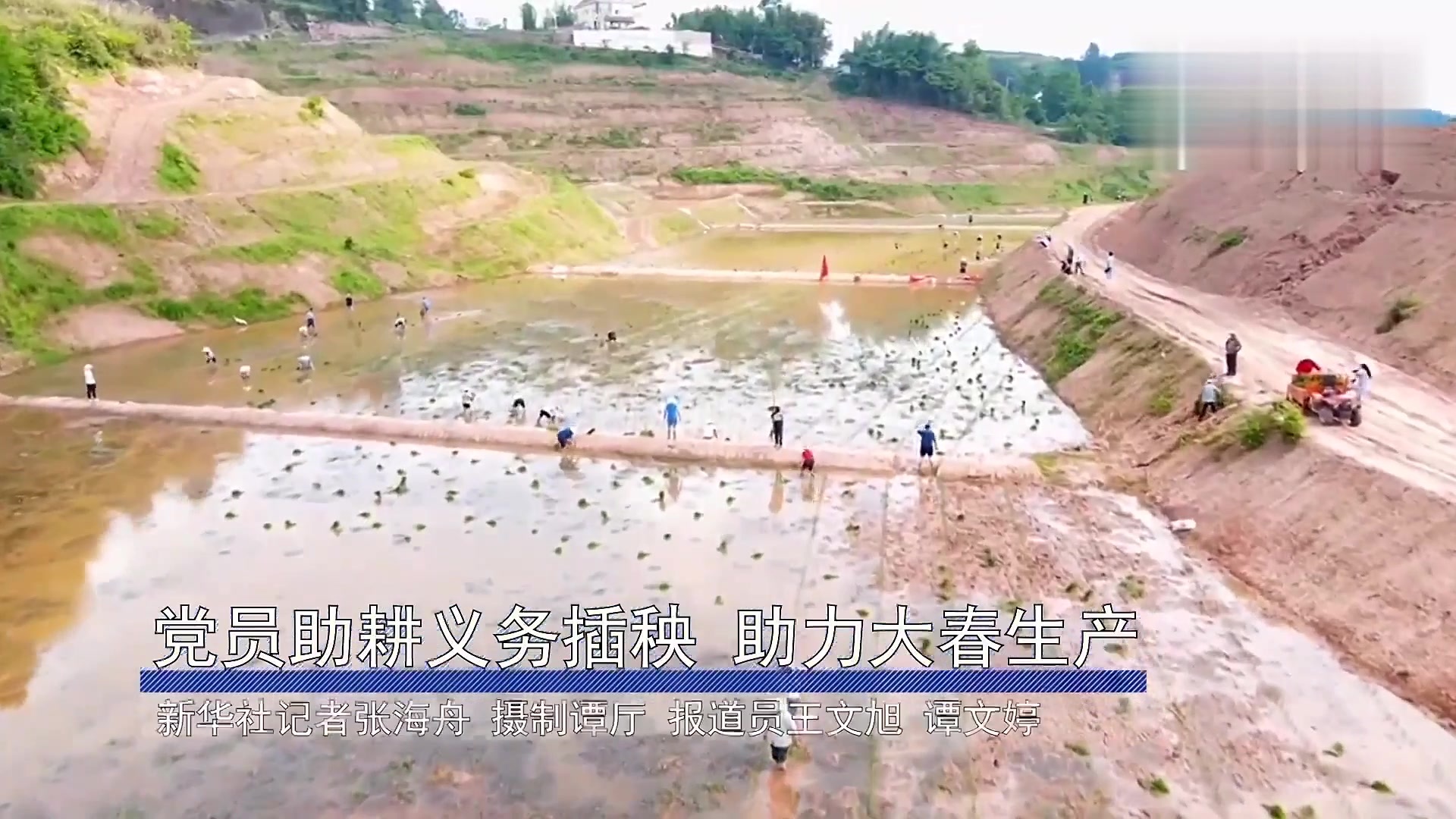 党员助耕义务插秧助力大春生产