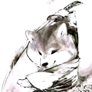 菜籽油啦 