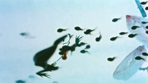 80后国产首部水墨动画蝌蚪找妈妈,聪慧马良智斗恶官,哪个是你最爱