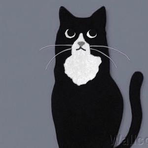 猫猫影视G 