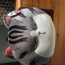 源源不绝漫剪 