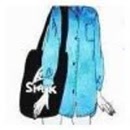 喜欢吹口琴の高堂旻骞 