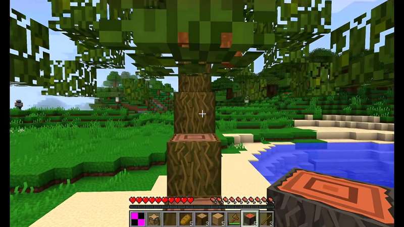 我的世界海贼篇:海贼王的人生,一般都是从砍树开始的!