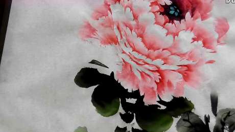 大师教你牡丹基本画法,一步一步画出漂亮的牡丹