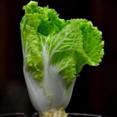 我是李雨潼 