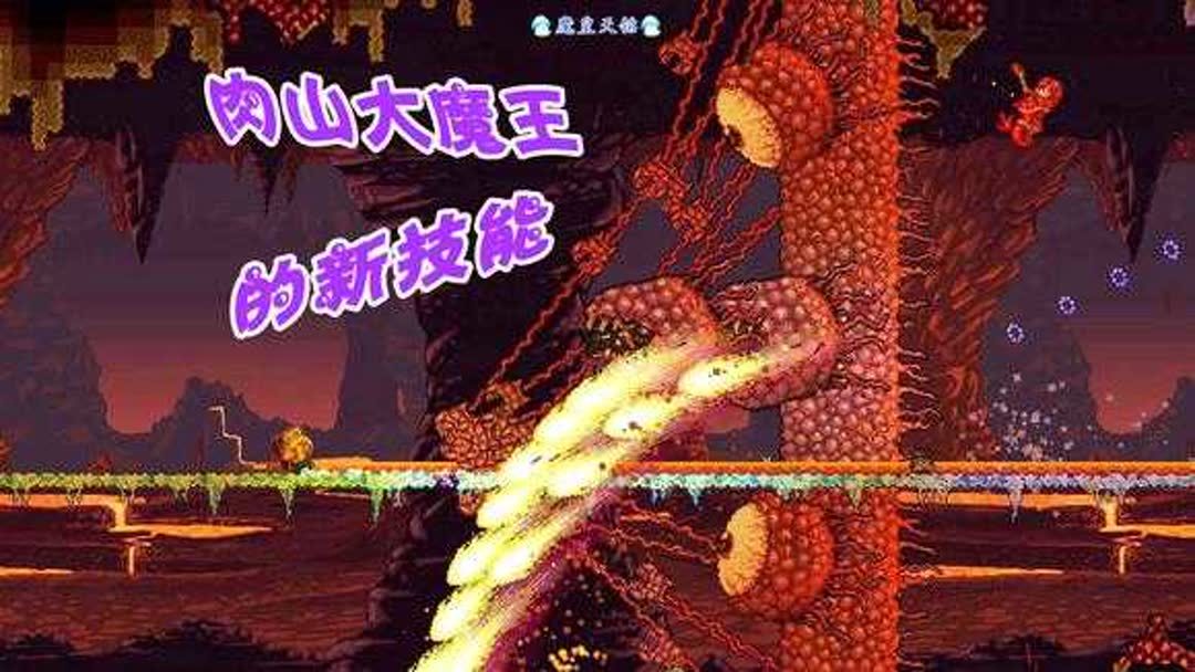 天铭 泰拉瑞亚 女巫与真实MOD 88 拥有新技能之后的魔王肉山