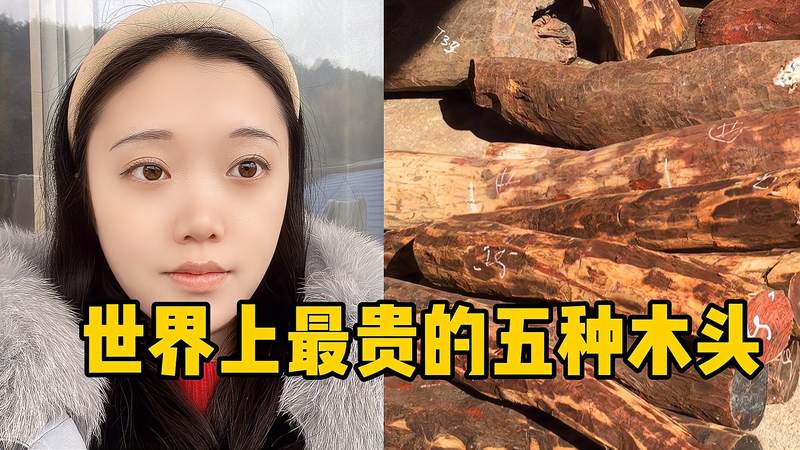 排名前五的木头,你知道几种?