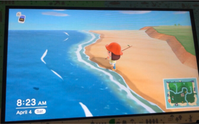 Switch动物之森限定版主机开箱